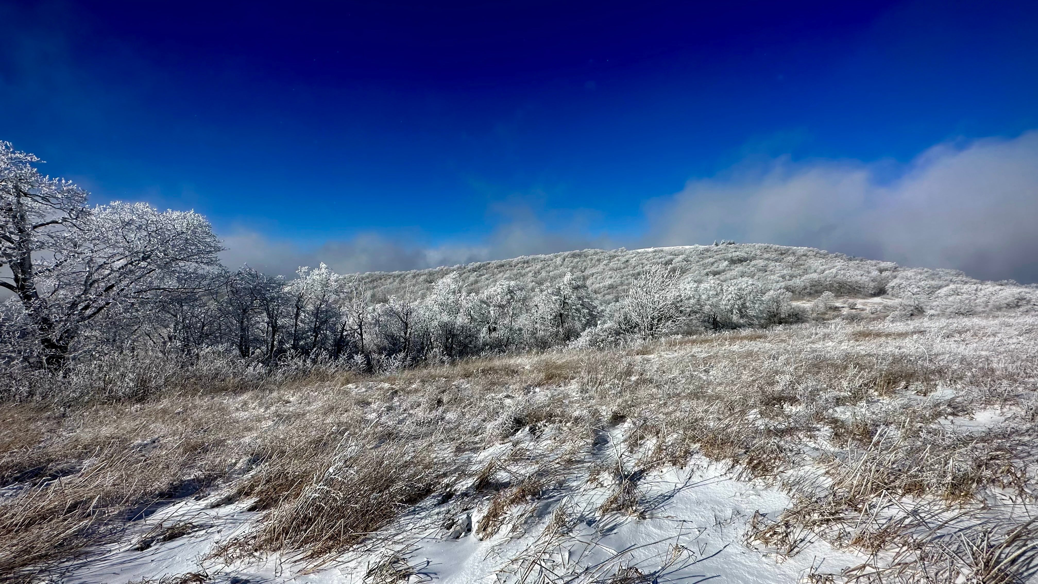 From Disrupting The Polar Vortex To Putting The BRRR In December, This ...