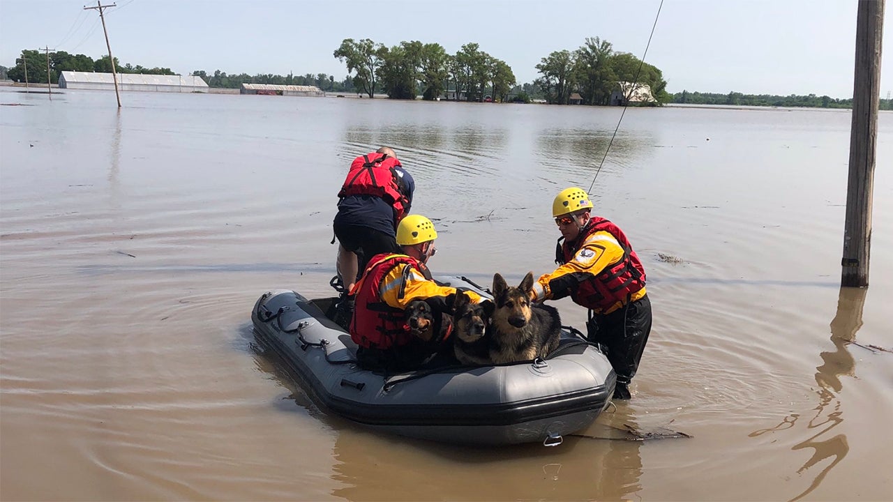 Effects of Flooding in Arkansas, Missouri, Iowa and Oklahoma Could ...