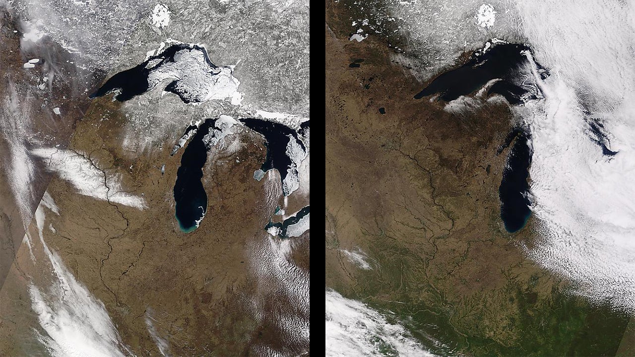 How Much Has Your Region Greened This Month? Satellite Images Reveal ...