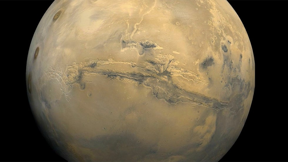 Archaeologists in Egypt Discover 3,000-Year-Old Well-Preserved Mummies ...