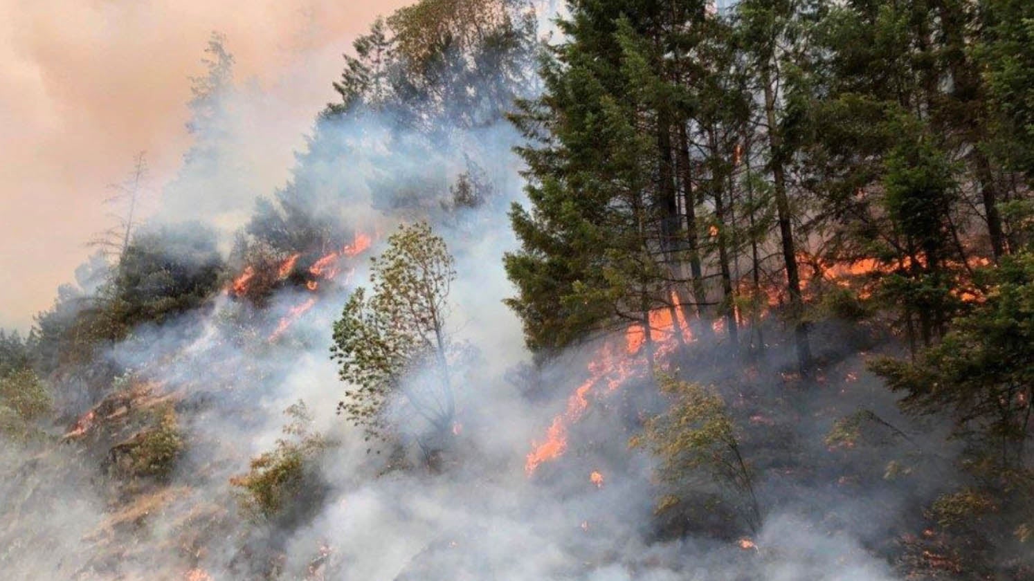 'Wildfire Waiting to Happen': More Than 100 Abandoned Campfires Found ...
