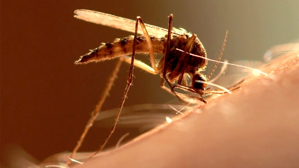 Matthew Creates Rare Sprites in Sky - Videos from The Weather Channel