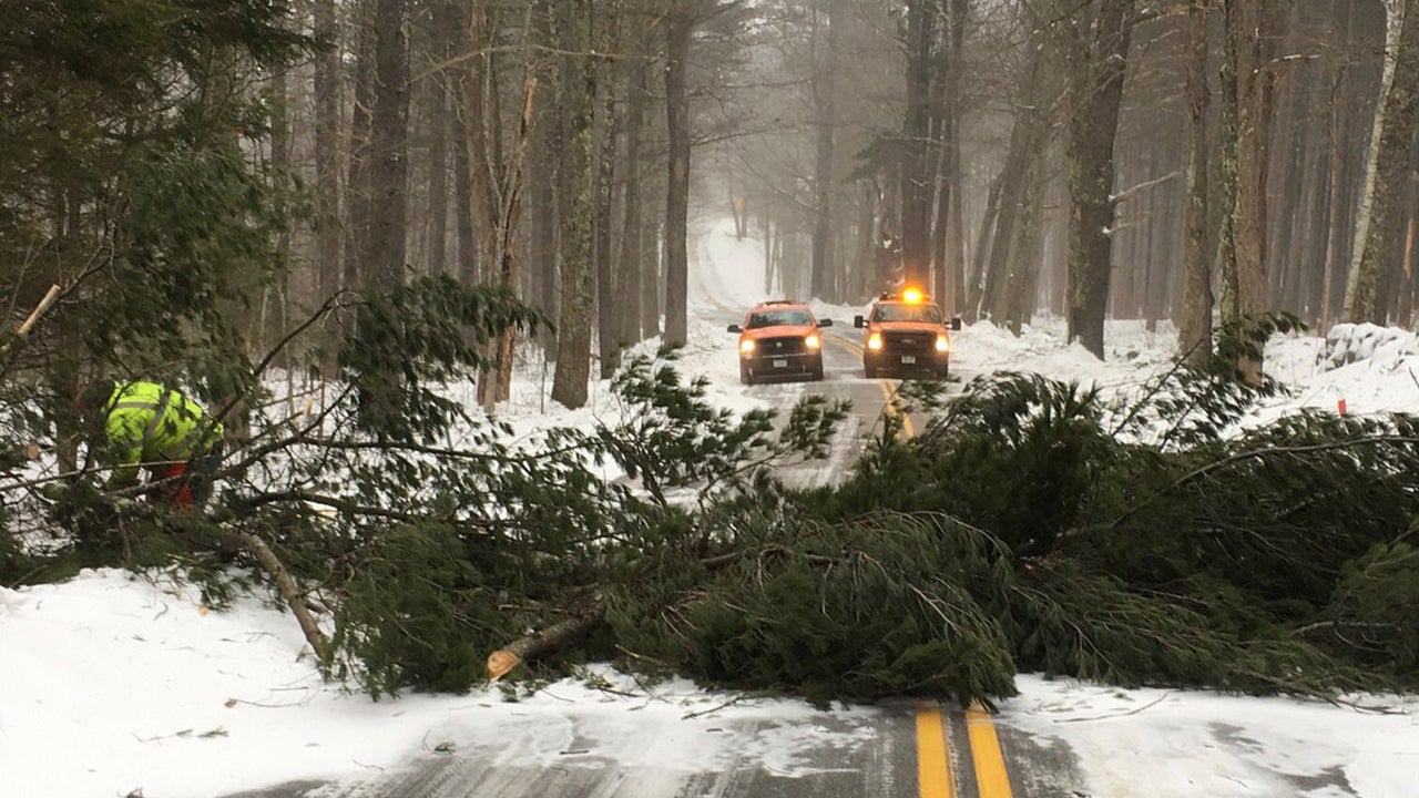 Winter Storm Harper: Thousand of Flights Canceled, Hundreds of Crashes ...