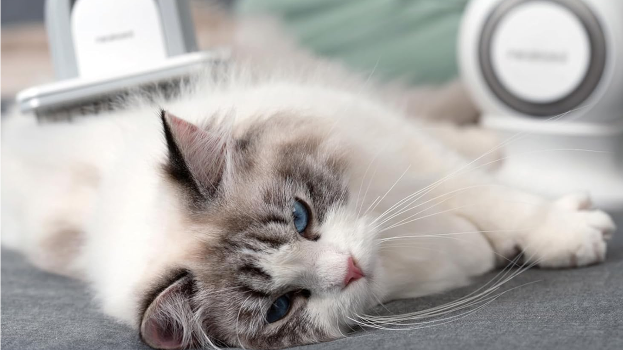 Weather Forecast and Conditions for Hopewell Junction, NY - The Weather ...