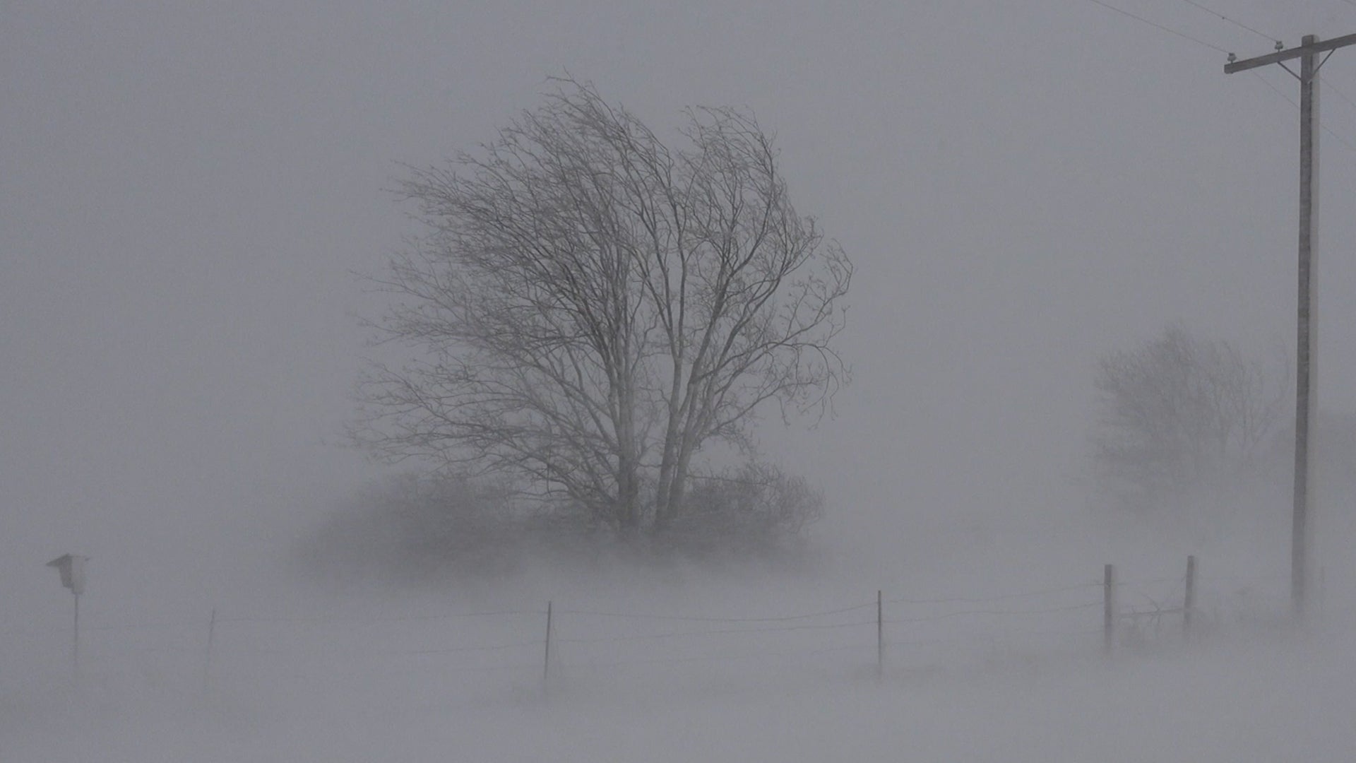 Weather Forecast and Conditions for Cologne, North Rhine-Westphalia ...
