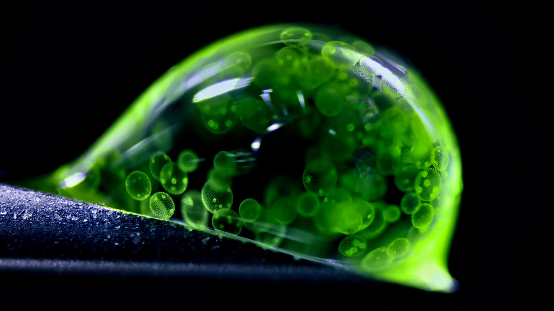 10-Day Weather Forecast for Beaverton, Michigan - The Weather Channel ...