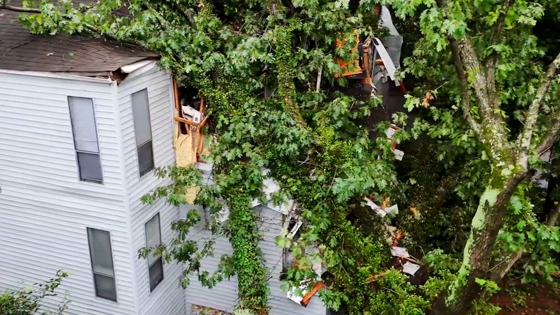 Returning To Dorian's Destruction in North Carolina - Videos from The ...