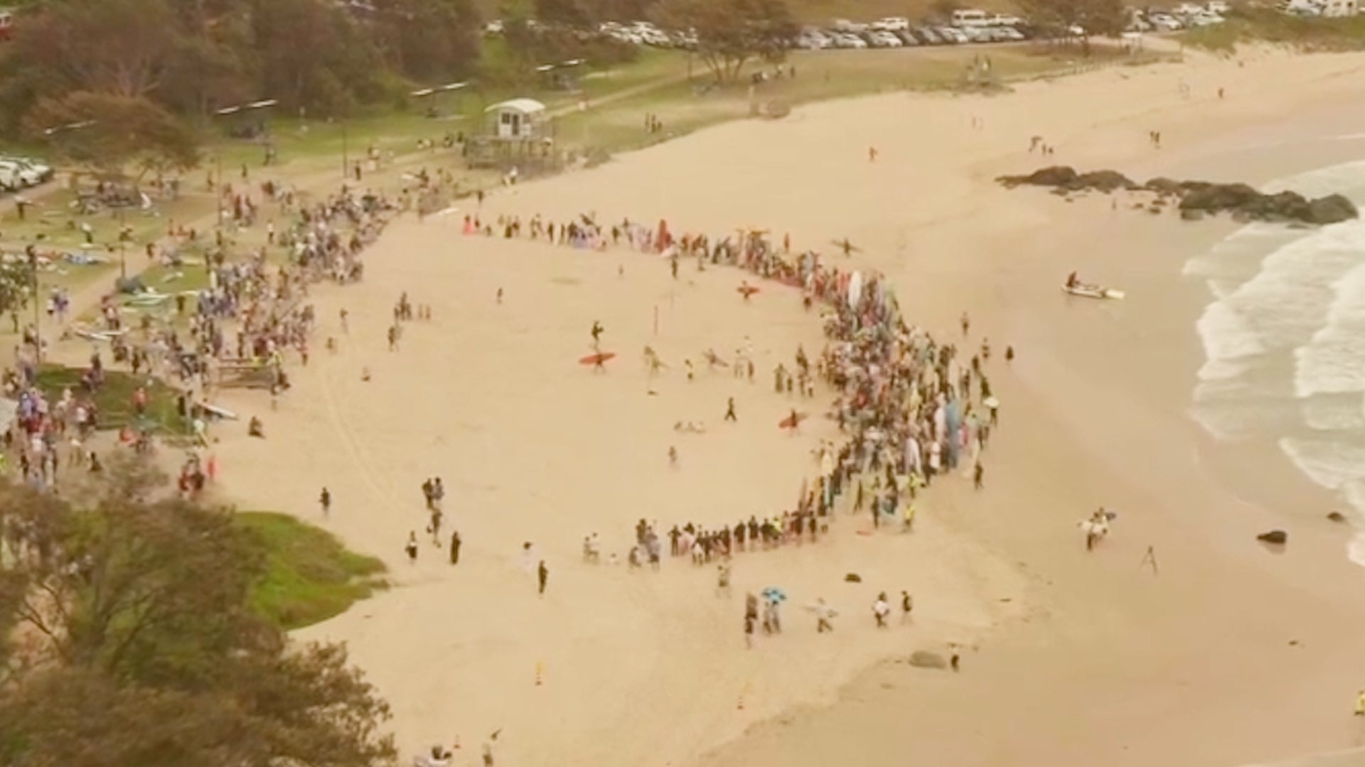 Giant Lizards Invading Georgia? - Videos from The Weather Channel