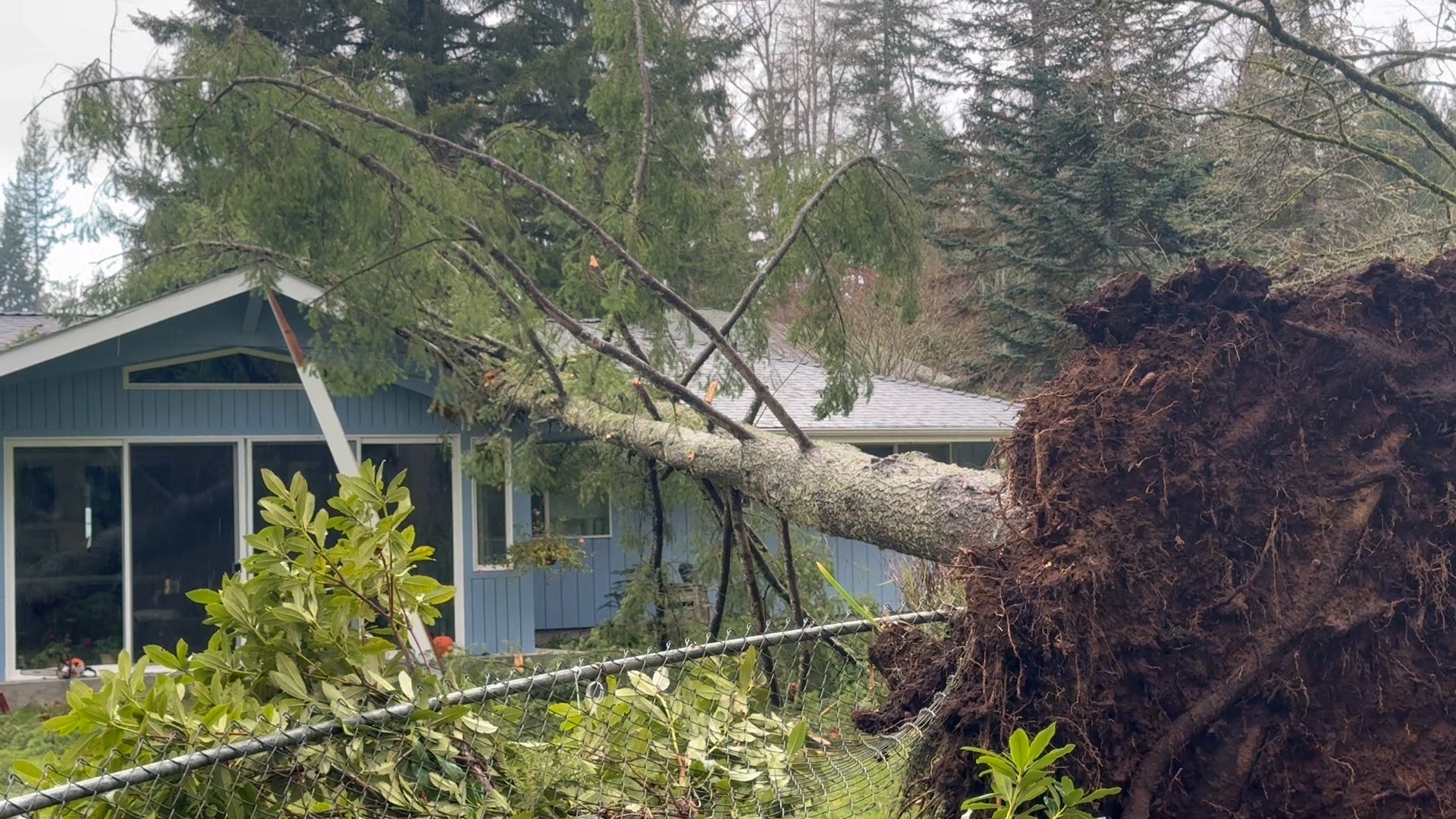 Bomb Cyclone Turns Deadly In Washington - Videos from The Weather Channel