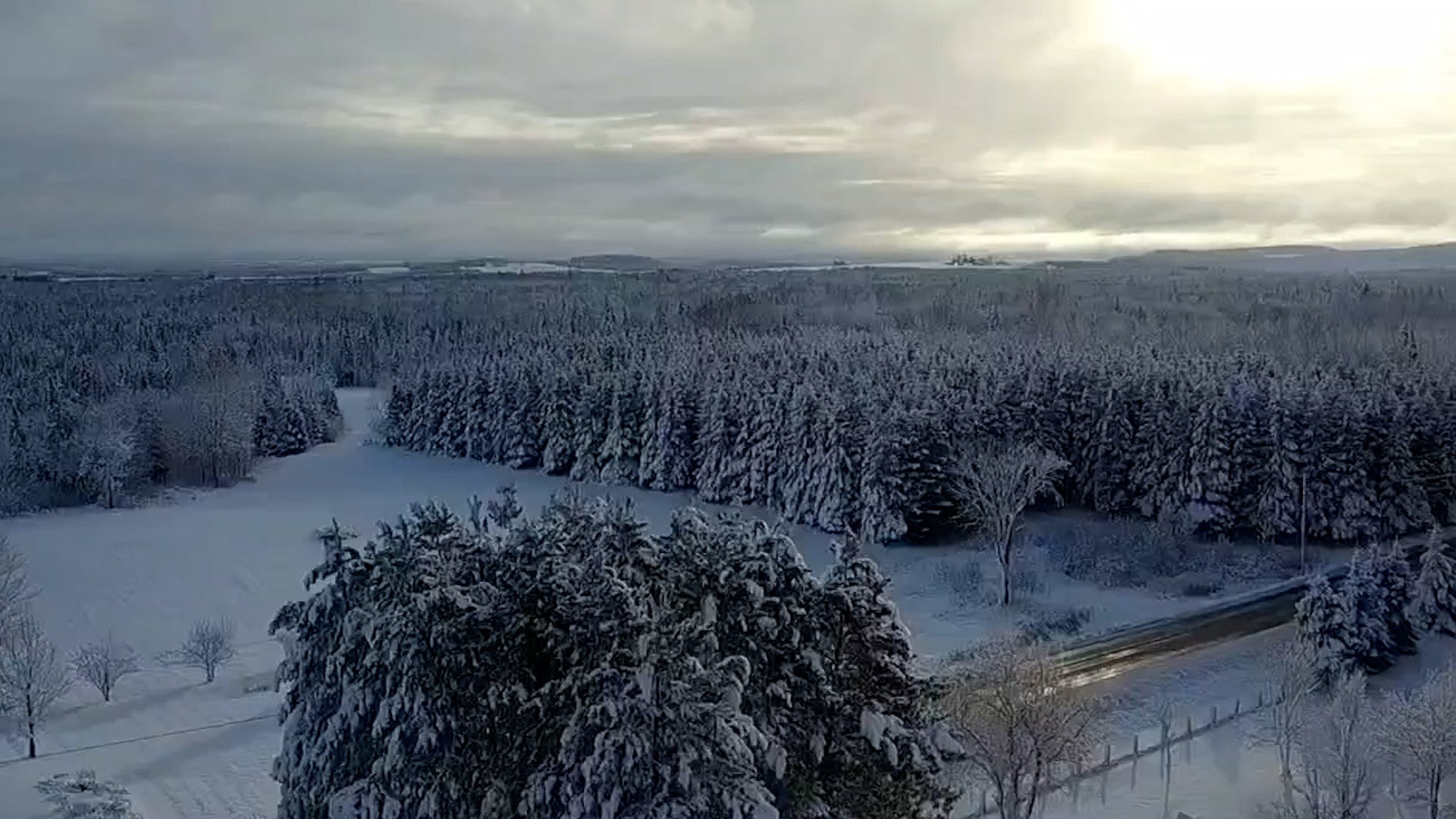 National and Local Weather Radar, Daily Forecast, Hurricane and ...