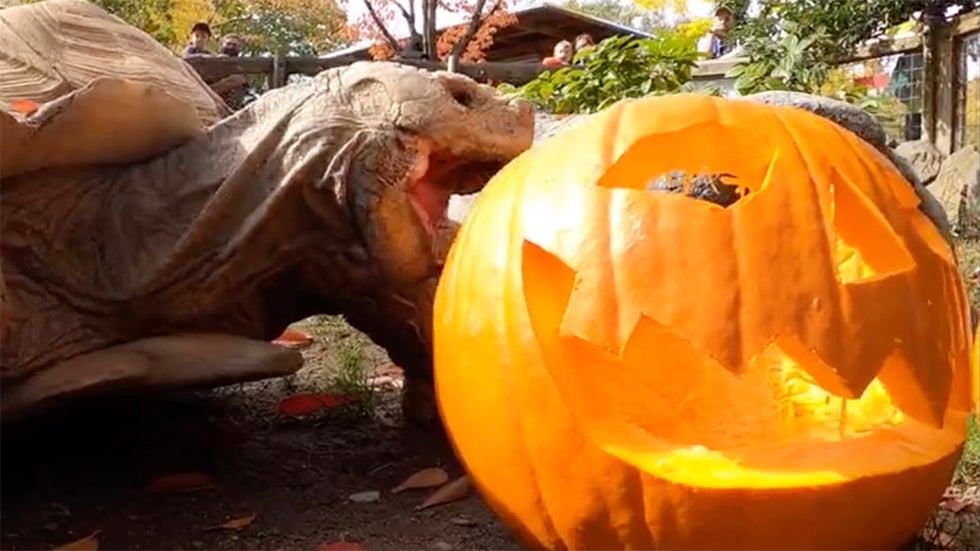 Another Winter Storm Will Bring Snow From the Midwest to the Mid ...