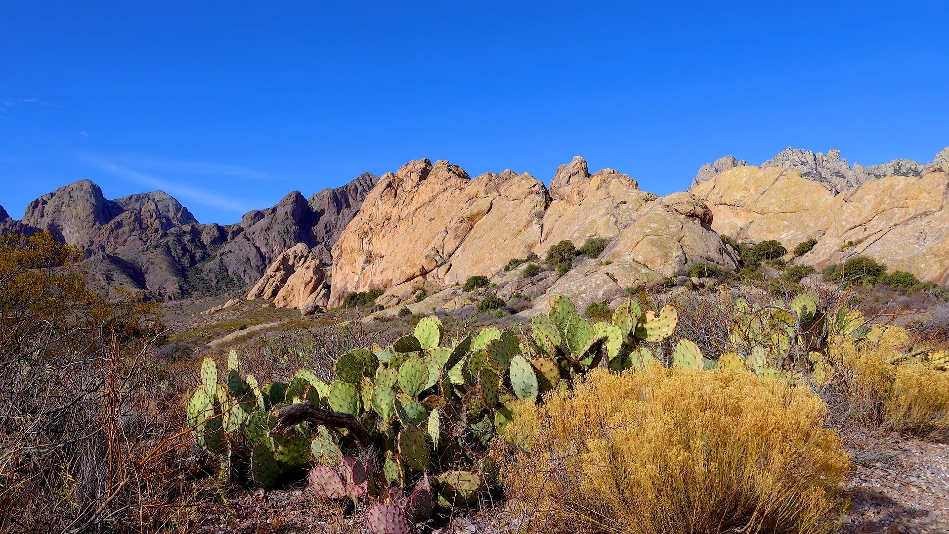 10-Day Weather Forecast for Summertown, GA - The Weather Channel ...