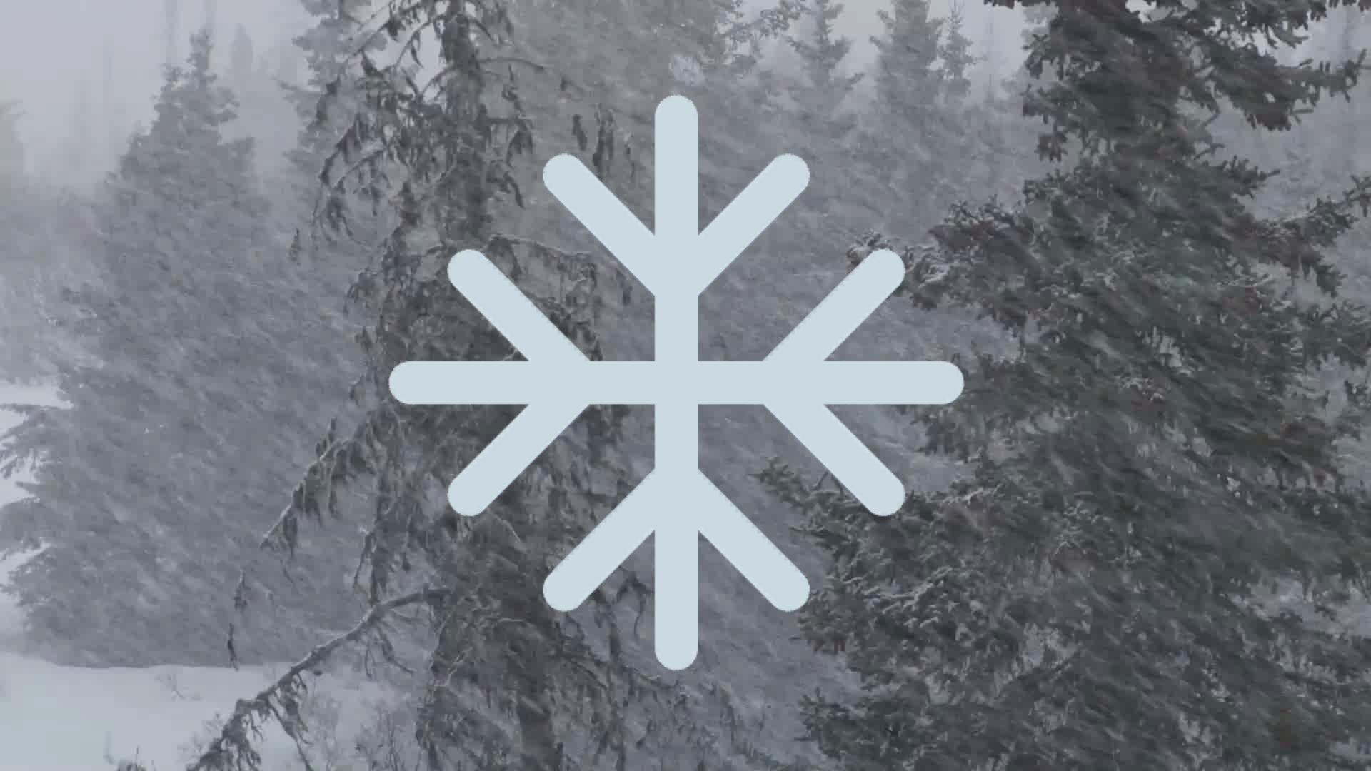 Learn How Different Types Of Snow Form - Videos from The Weather Channel