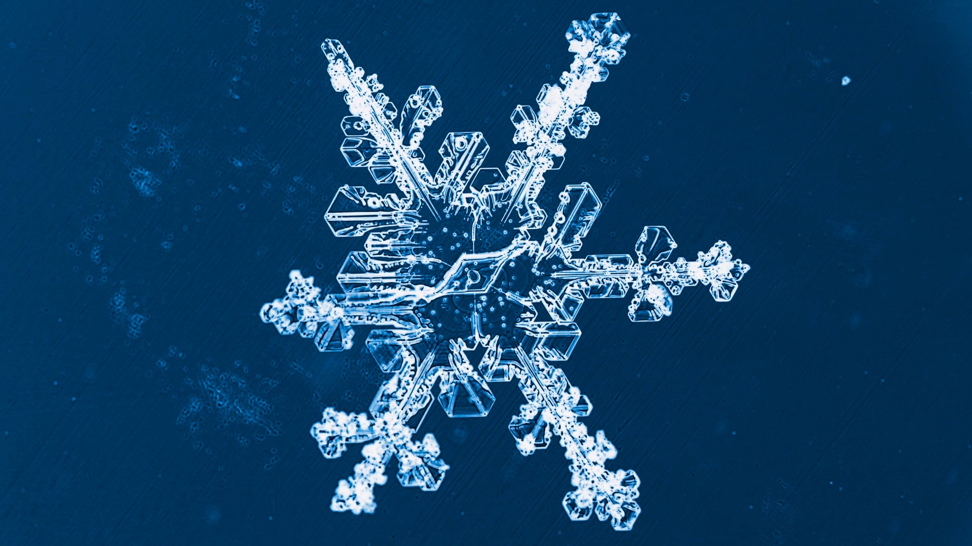 Extreme Closeup Raises Question: How Do Snowflakes Form? - Videos from ...