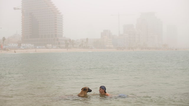 Intense Middle East Dust Storm Kills At Least 5, Sickens Hundreds | The ...