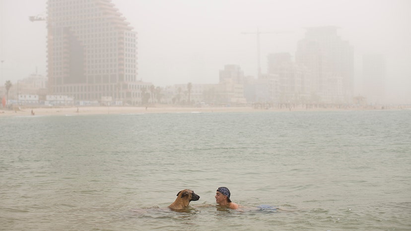 Intense Middle East Dust Storm Kills At Least 5, Sickens Hundreds | The ...
