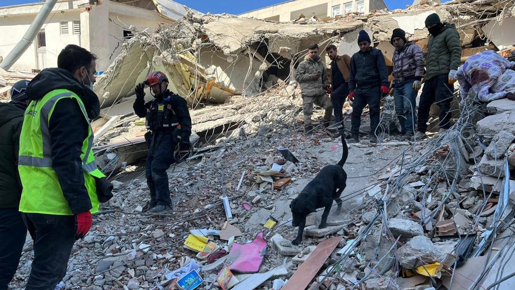 Search And Rescue Dogs Key To Finding Earthquake Survivors | Weather.com