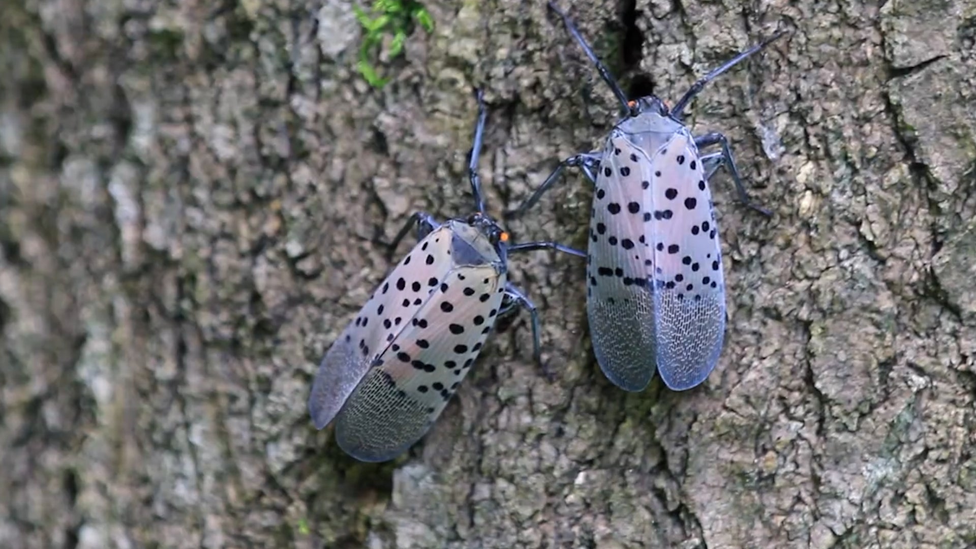 10-Day Weather Forecast for Rotterdam, South Holland, Netherlands - The ...
