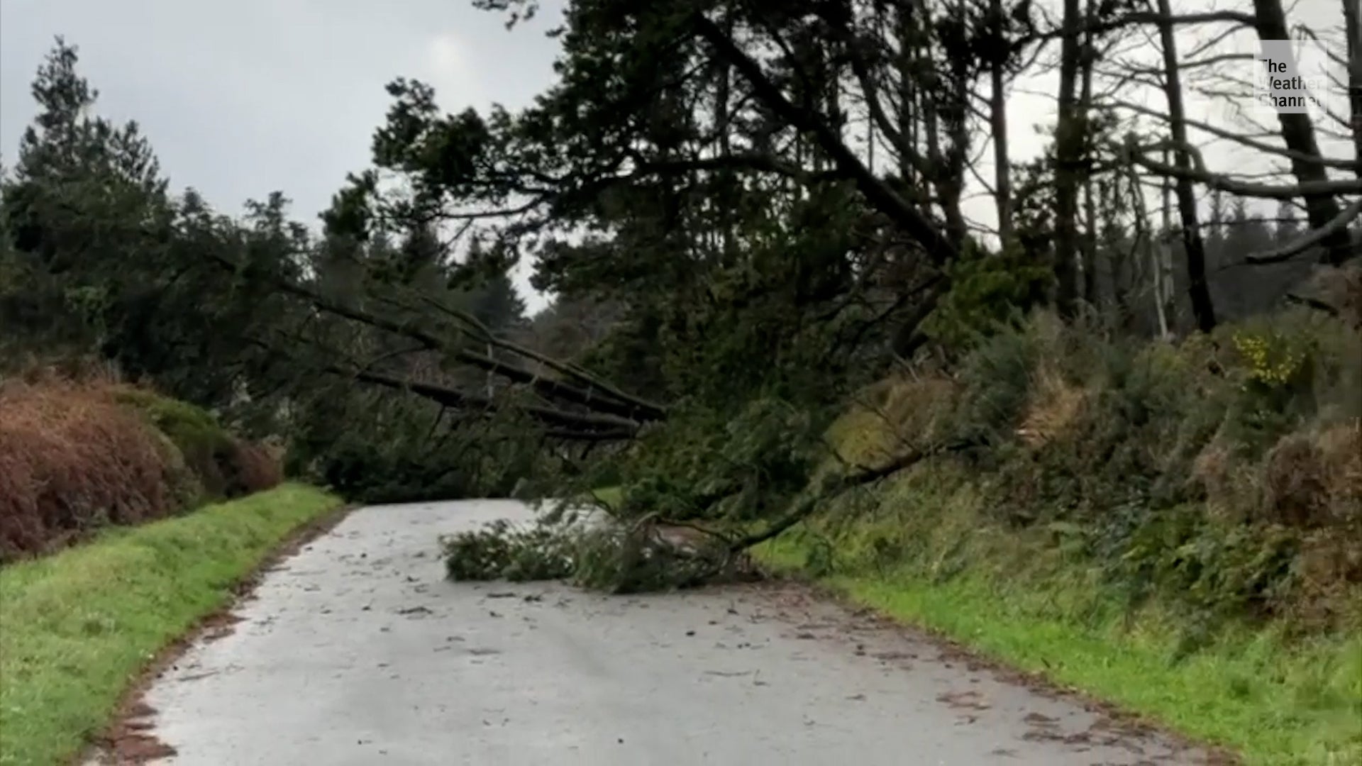 Storm Darragh’s Winds Turn Deadly In UK, Ireland - Videos from The ...