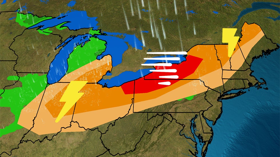 After 3 Years of Moth Outbreak, Town Takes Action - Videos from The ...