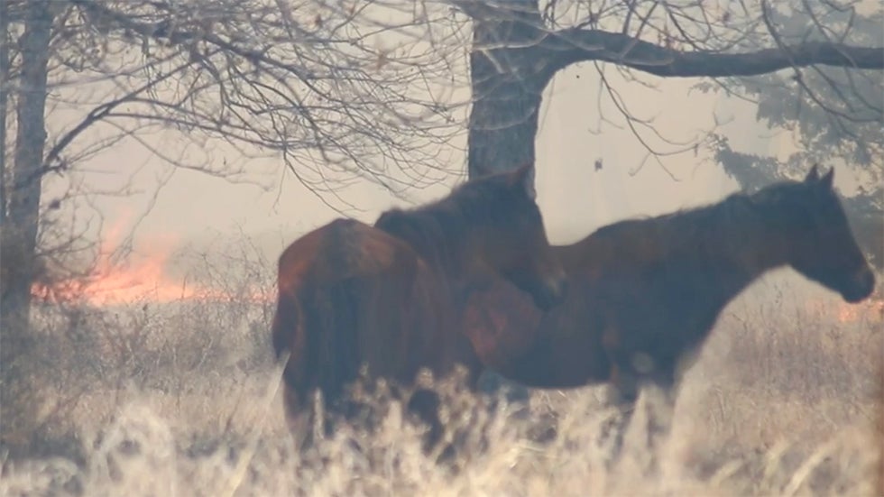 Dry, Windy Conditions Fuel Destructive Fire in Texas - Videos from The ...