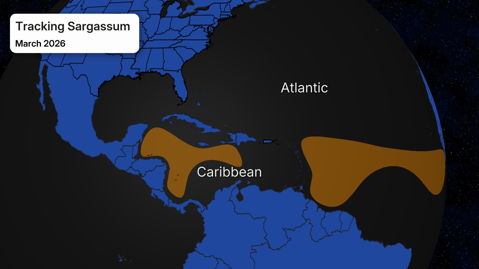 Everything You Need To Know About Sargassum | Weather.com