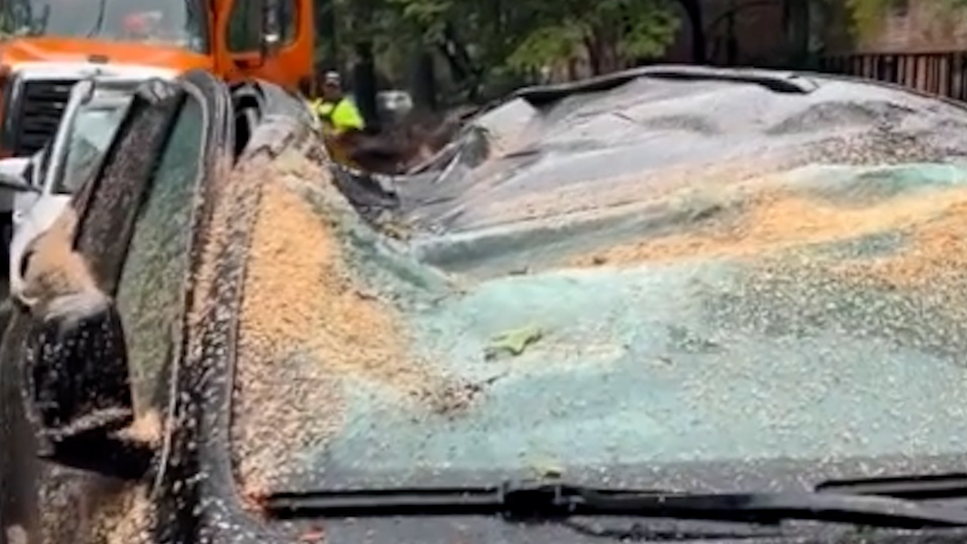 Weather Forecast and Conditions for Stevens Point, Wisconsin 54481 ...