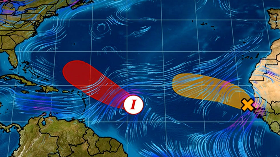 Two Octopuses Do An Underwater High-Five - Videos from The Weather Channel