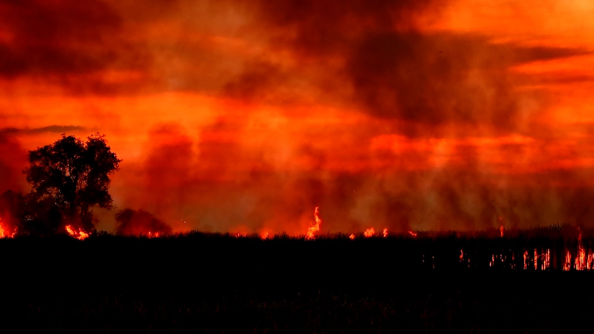 How The Deadly Camp Fire Exploded In Size Overnight | Weather.com