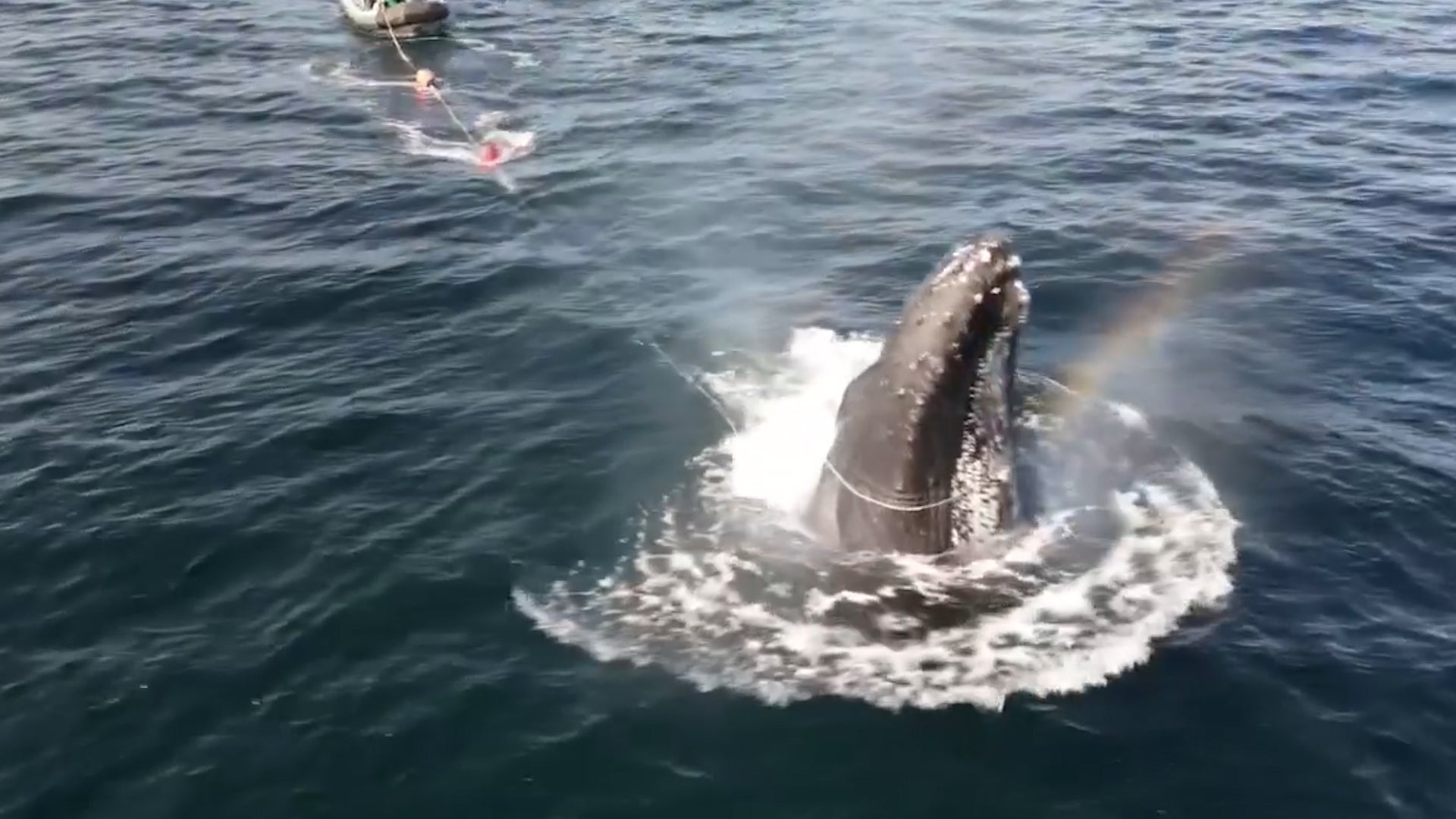 10-Day Weather Forecast for Belcamp, MD - The Weather Channel | weather.com