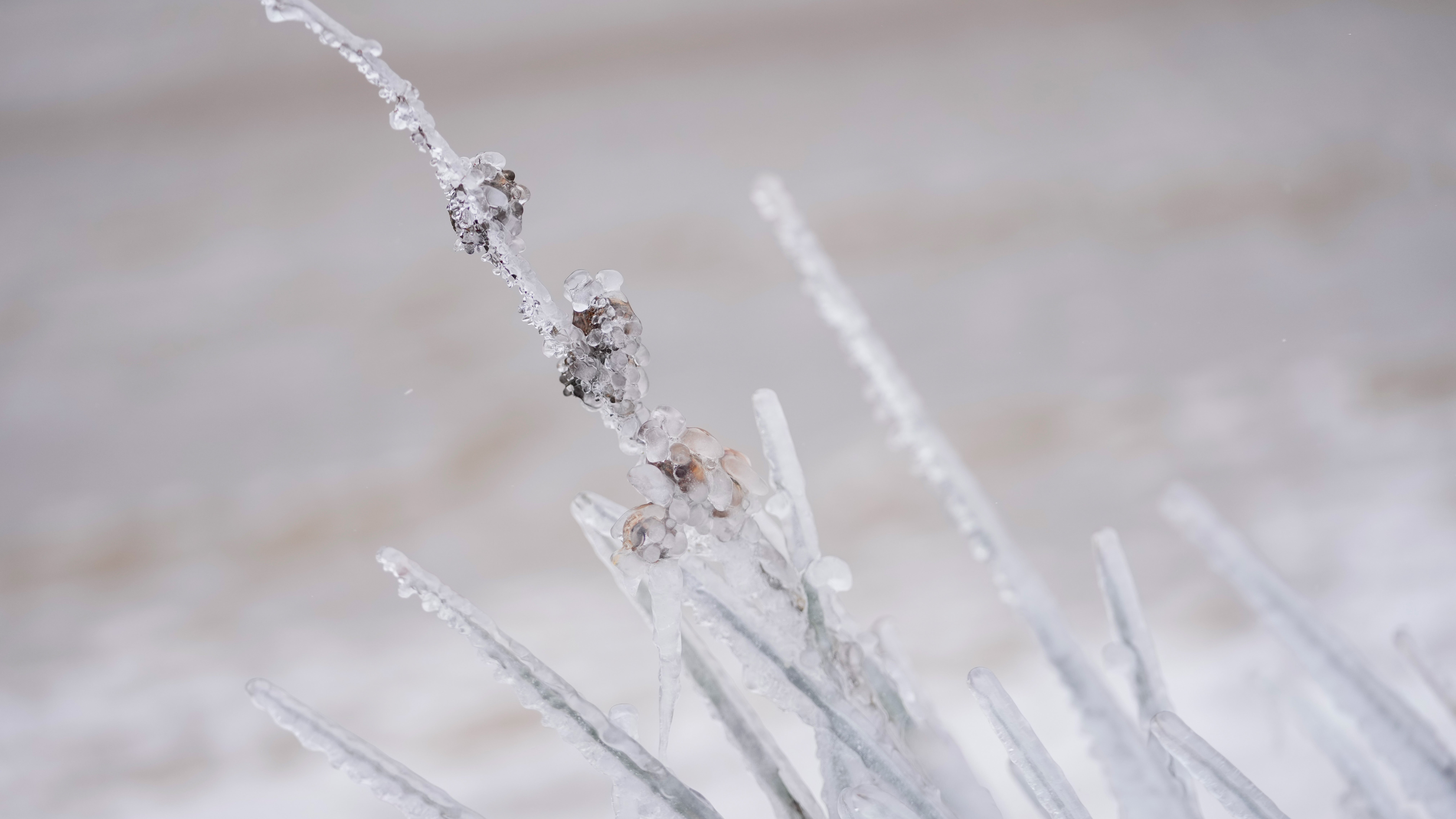 Winter Weather Causes Crashes, Four Deaths | Weather.com