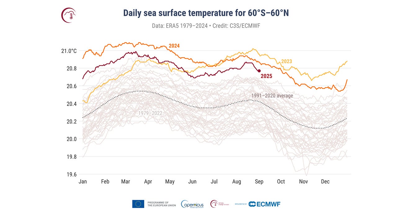 2025 On Pace For Earth's Second Warmest Year, Reports Say | Weather.com