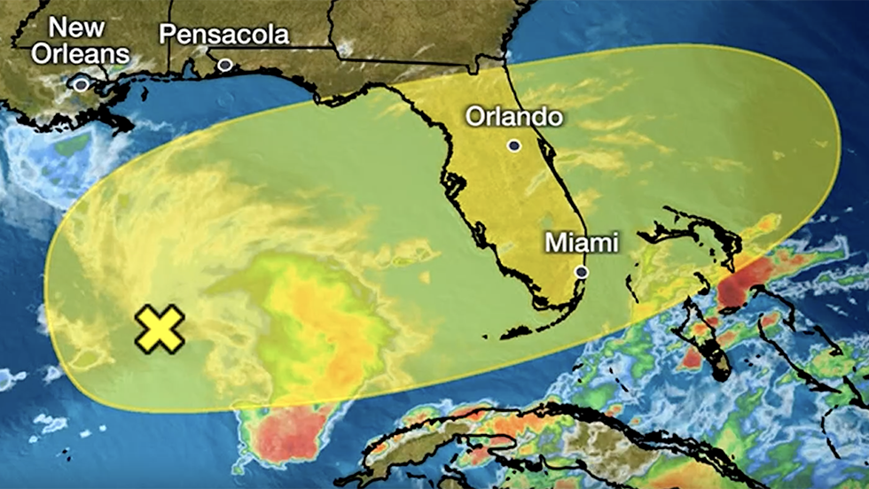 Male 'Murder Hornet' Captured in U.S. for First Time - Videos from The ...