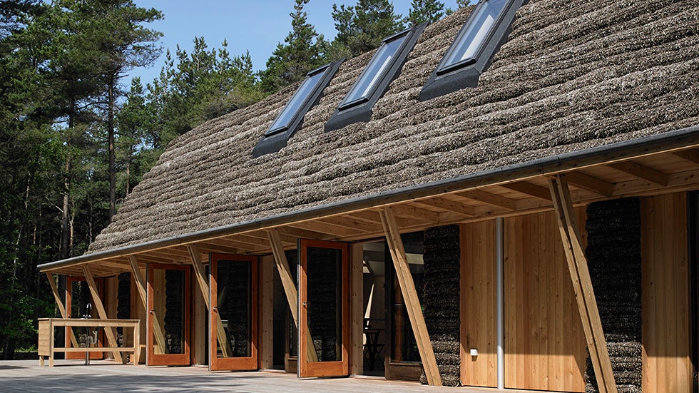 This Modern Seaweed House in Denmark Combines History and ...