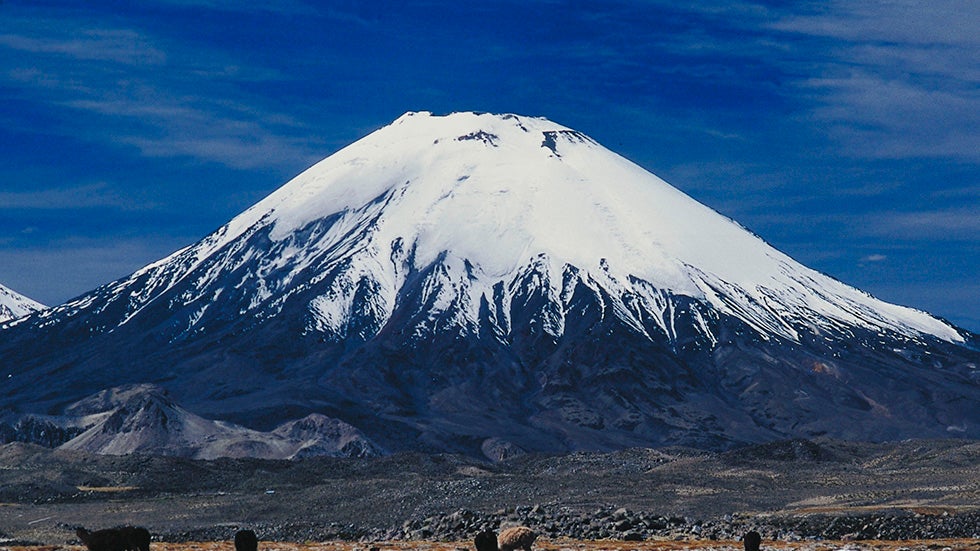 Volcanoes Provided Haven for Antarctic Species During Ice Age | The ...