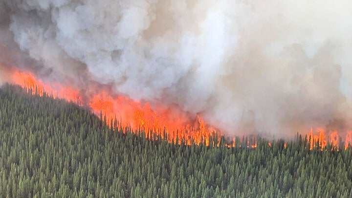 Weather Words: Crown Fire | Weather.com