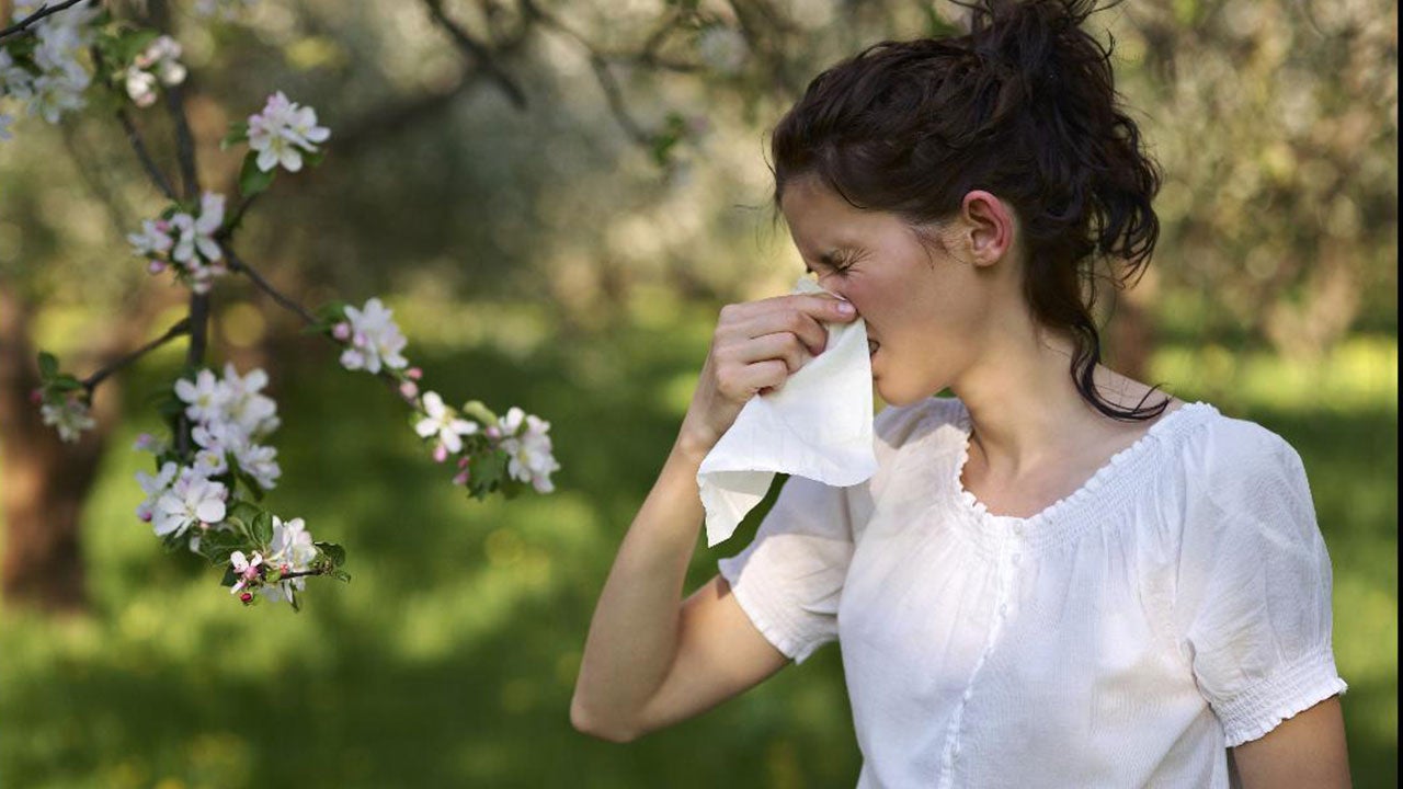 The Season of Your Birthday May Determine Incidence of Allergies | The ...