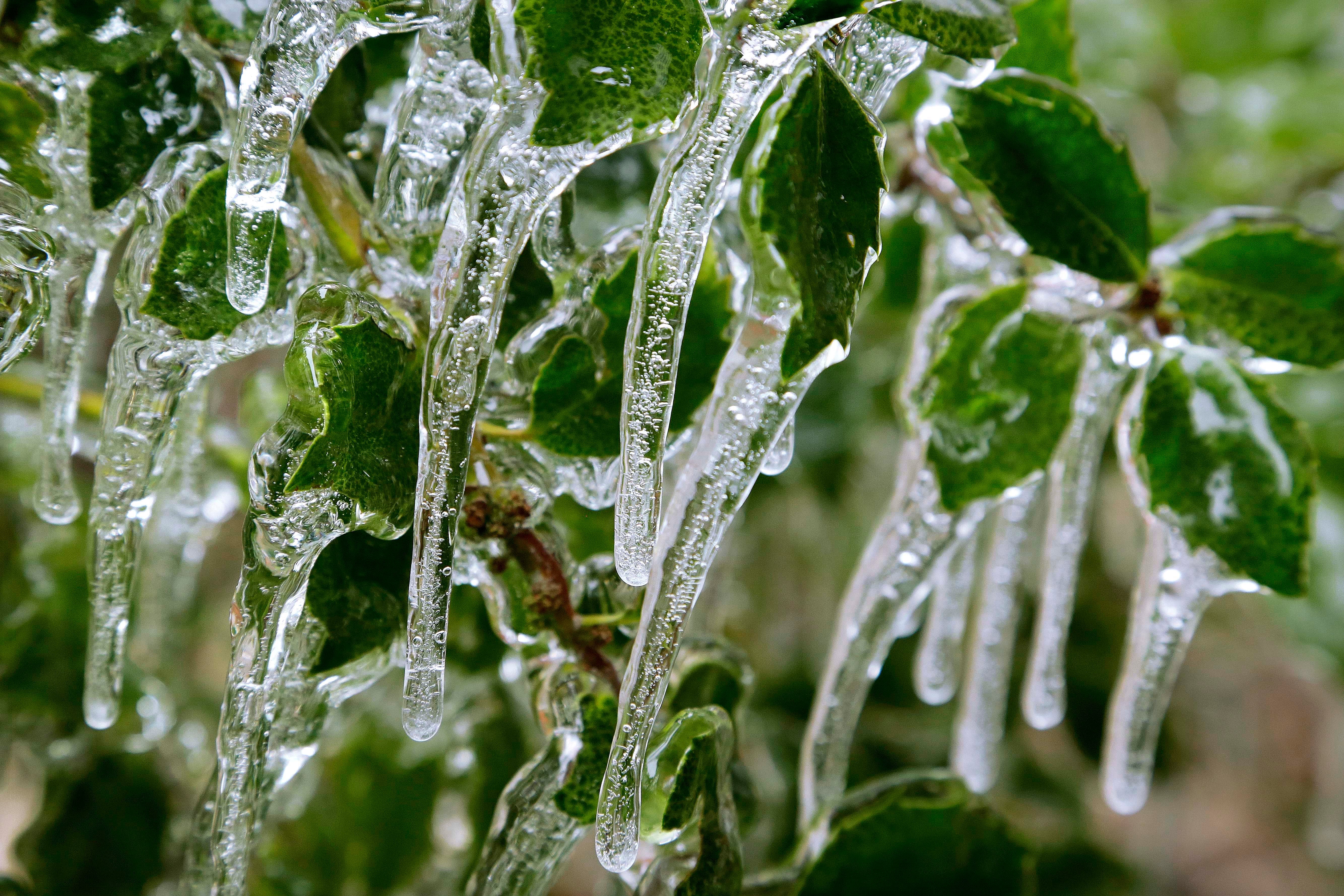 Sleet, Freezing Rain Coat South | Weather.com