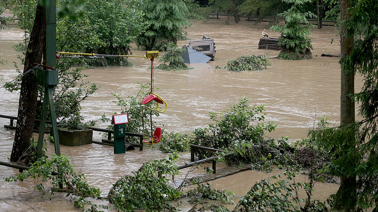 Germany Zoo Animals Escape Cages Amid Severe Flooding | Weather Underground