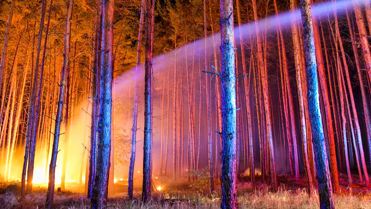 Germany Wildfire Sets Off World War II Ammunition Buried in Forest ...