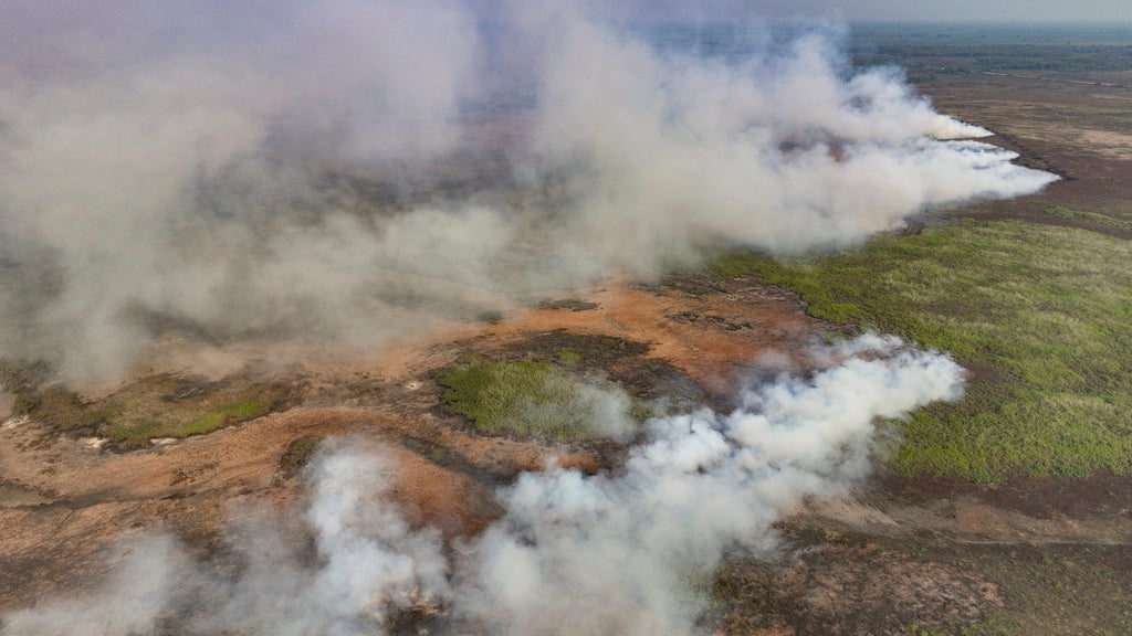 Brazil Fires Threatening Wildlife, Plants And Homes | Weather.com