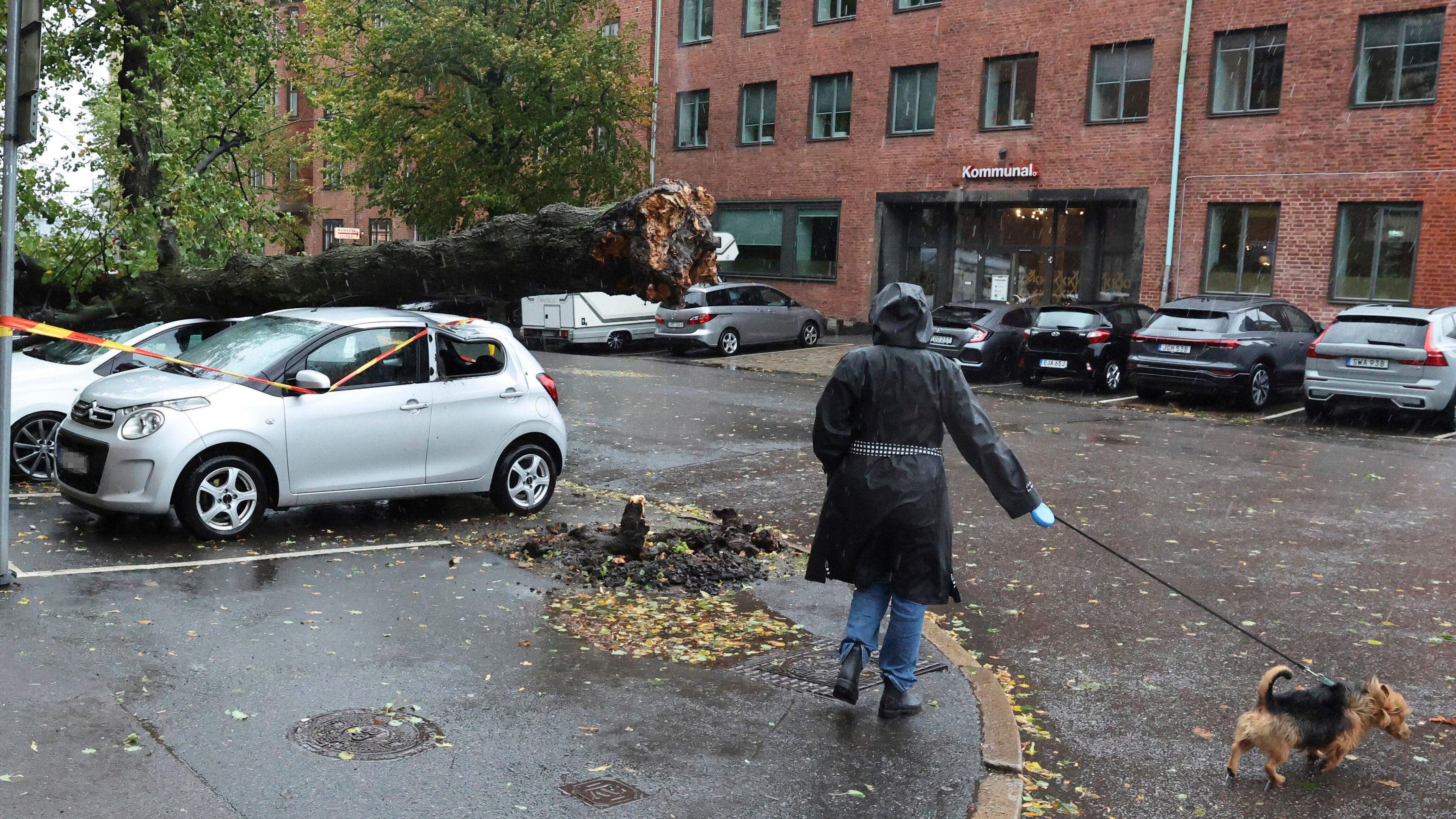 Storm Amy Leaves Three Dead, Thousands Without Power | Weather.com