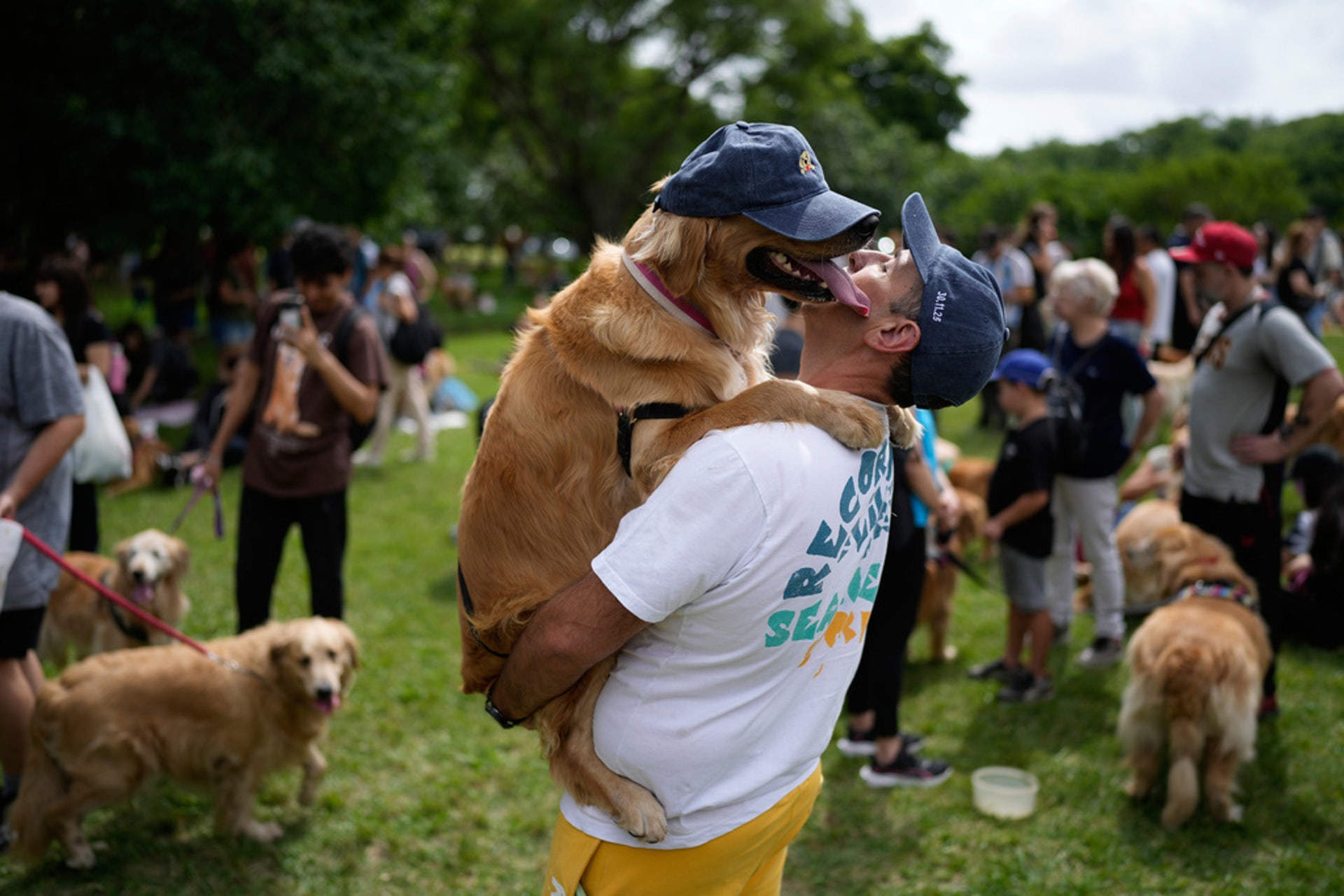 Record-Breaking Golden Retriever Gathering Lights Up Buenos Aires ...