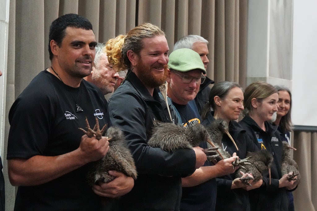 Iconic Kiwi Birds Return To New Zealand’s Capital | Weather.com
