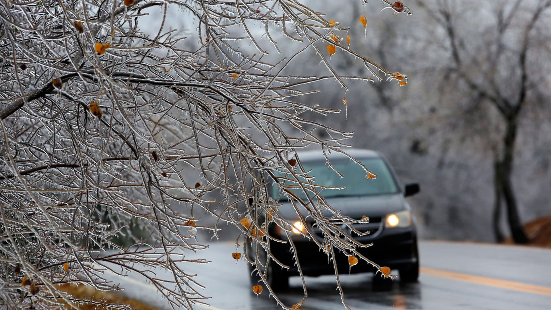 Frozen Speed Limit Sign Says Everything You Need to Know About the ...