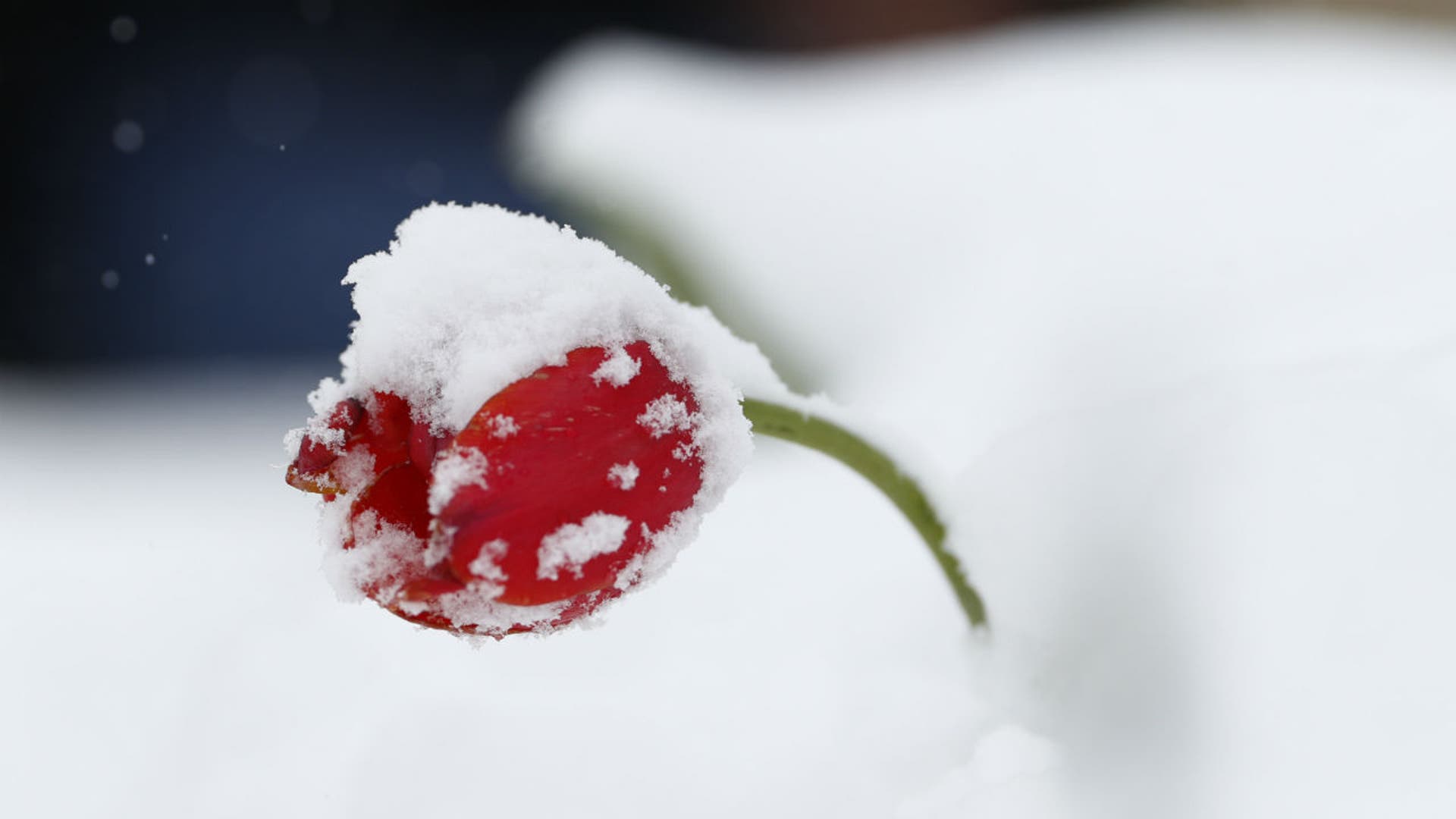 Winter Storm Ursa Was a Crippling Blizzard in the High Plains; One of ...