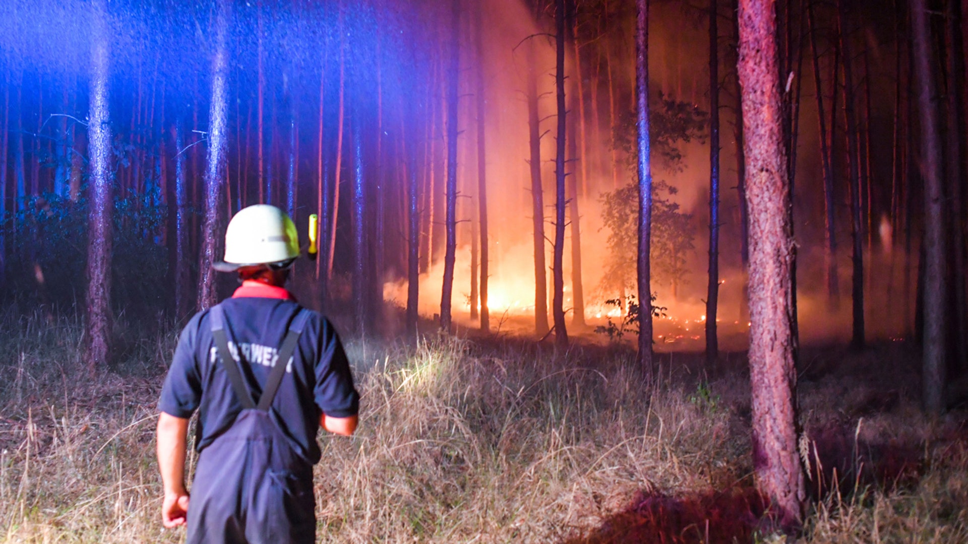 Germany Wildfire Sets Off World War II Ammunition Buried in Forest ...