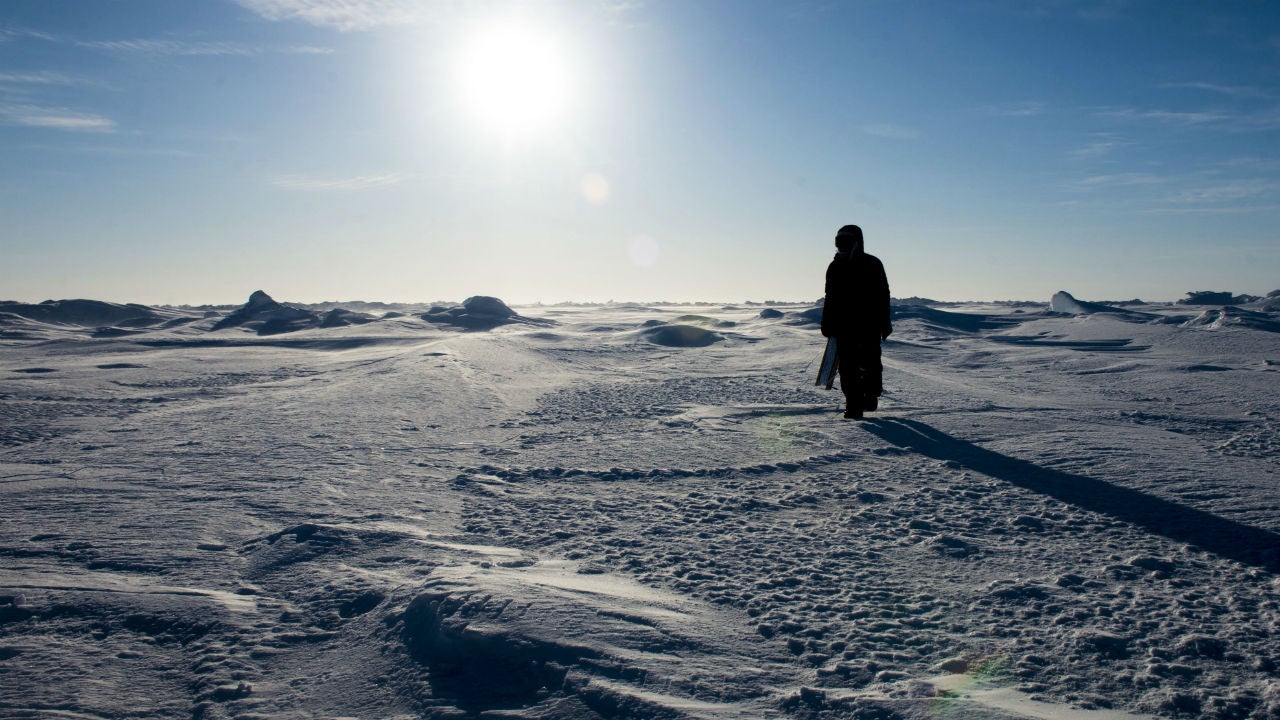 Climate Records Set In 2016 Show a Disturbing Trend For the Planet ...