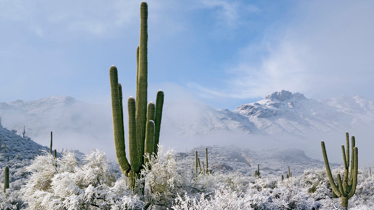 On Today's Date: Phoenix Snow, It Has Happened. | Weather.com