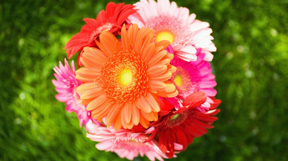 Feel Like Spring Arrives Earlier Today Than It Used To? That's Because ...